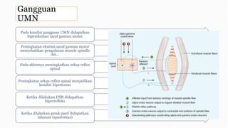 8. Gangguan Upper Motor Neuron (UMN).pptx