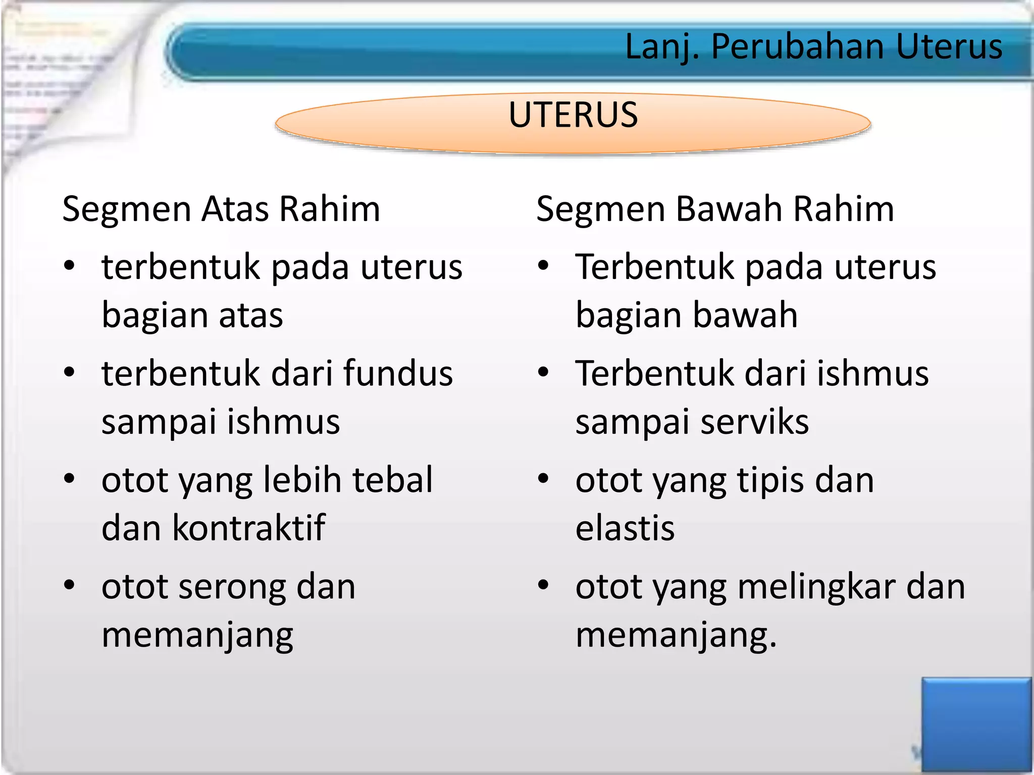 8. Perubahan & Adaptasi Fisiologis Ibu Bersalin.pptx
