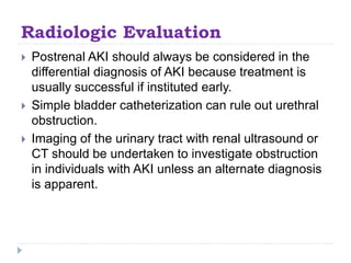 8. Acute Kidney Injury.pptx