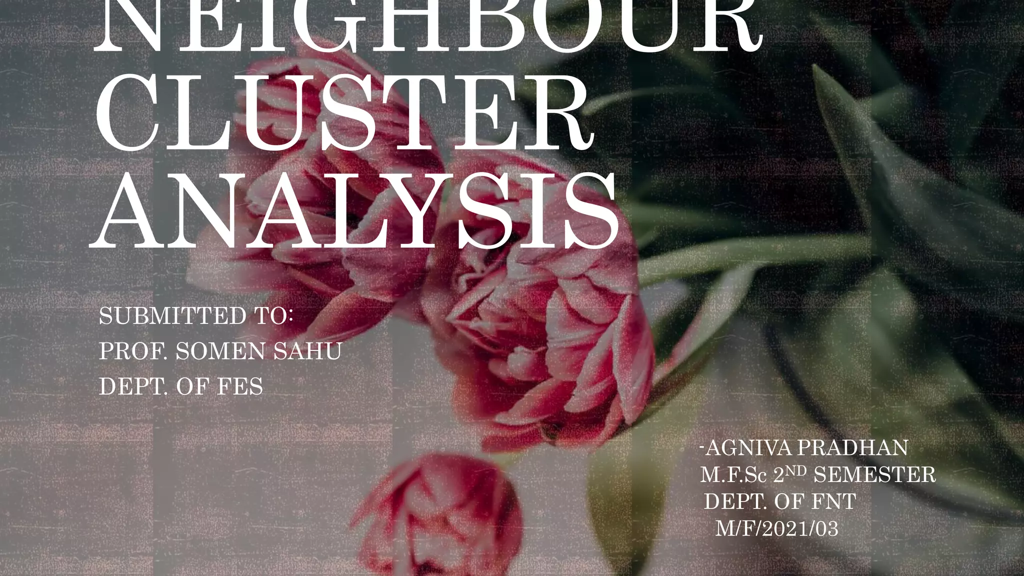 NEAREST NEIGHBOUR CLUSTER ANALYSIS.pptx