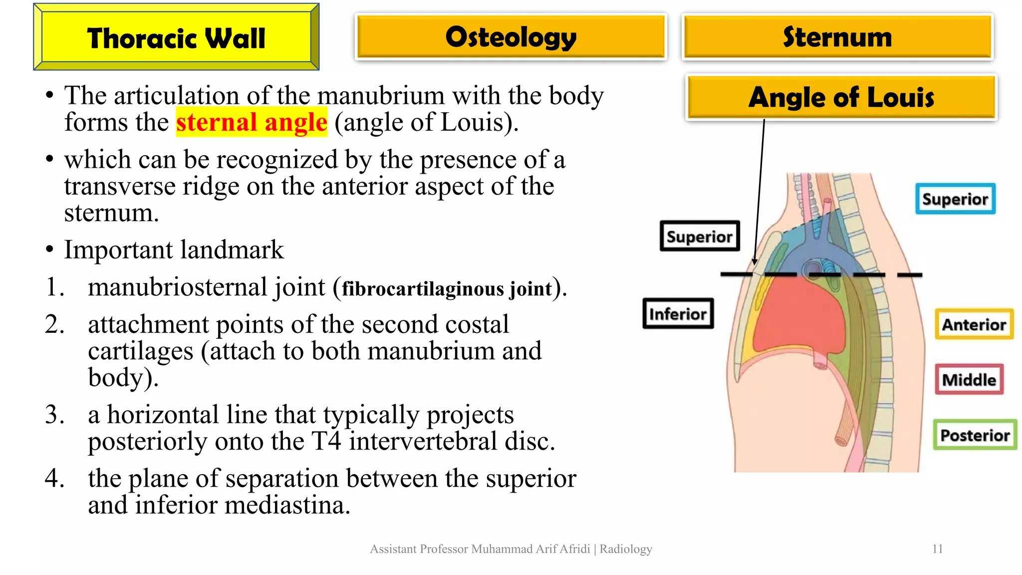 Anatomy of Thoracic Wall.pdf