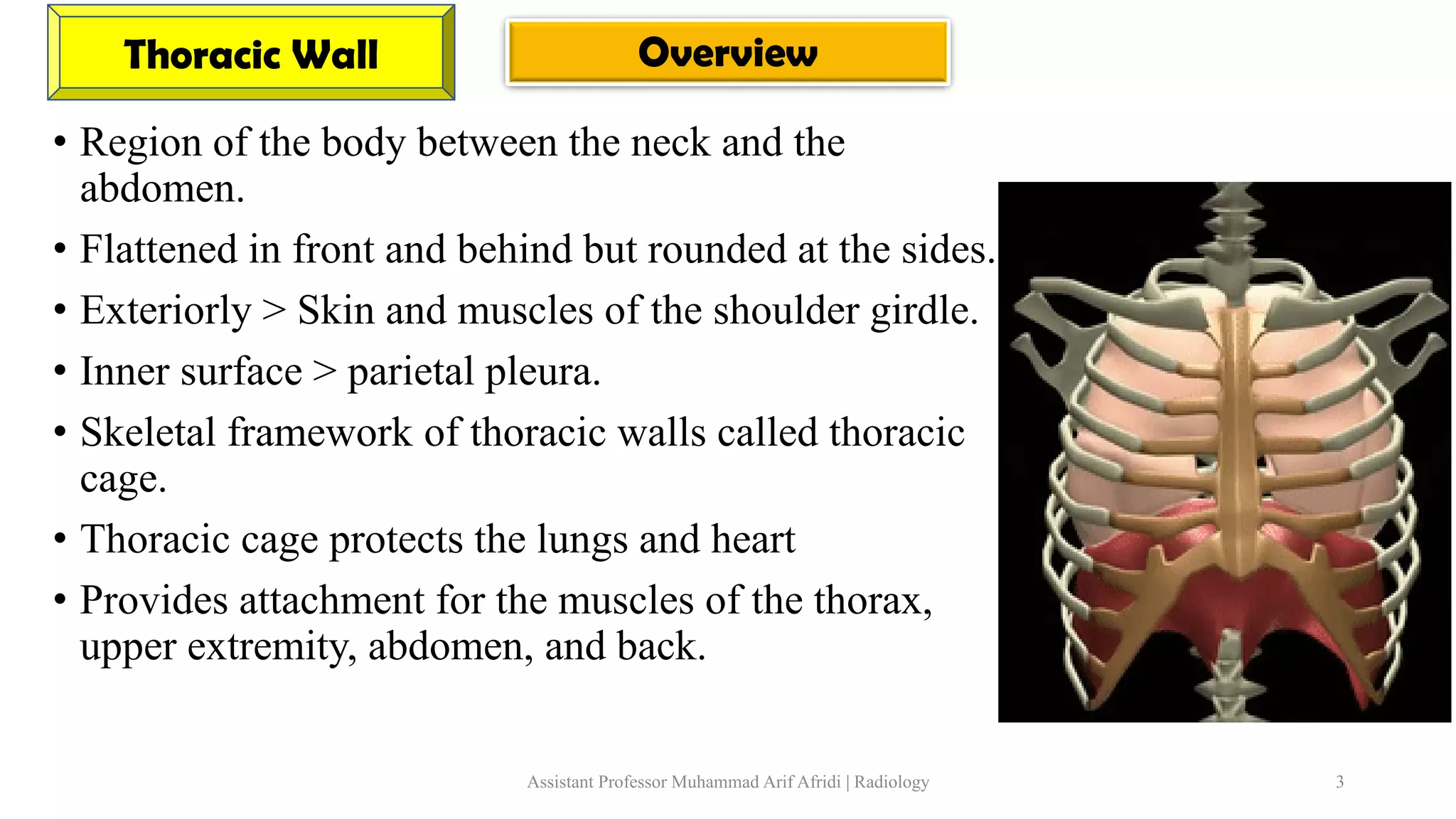 Anatomy of Thoracic Wall.pdf