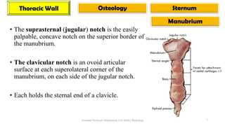 Anatomy of Thoracic Wall.pdf
