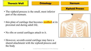Anatomy of Thoracic Wall.pdf