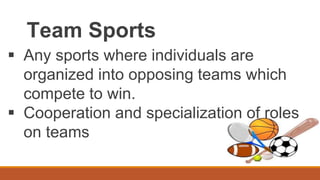 8. types of sports.pptx | Martial Arts | Sports