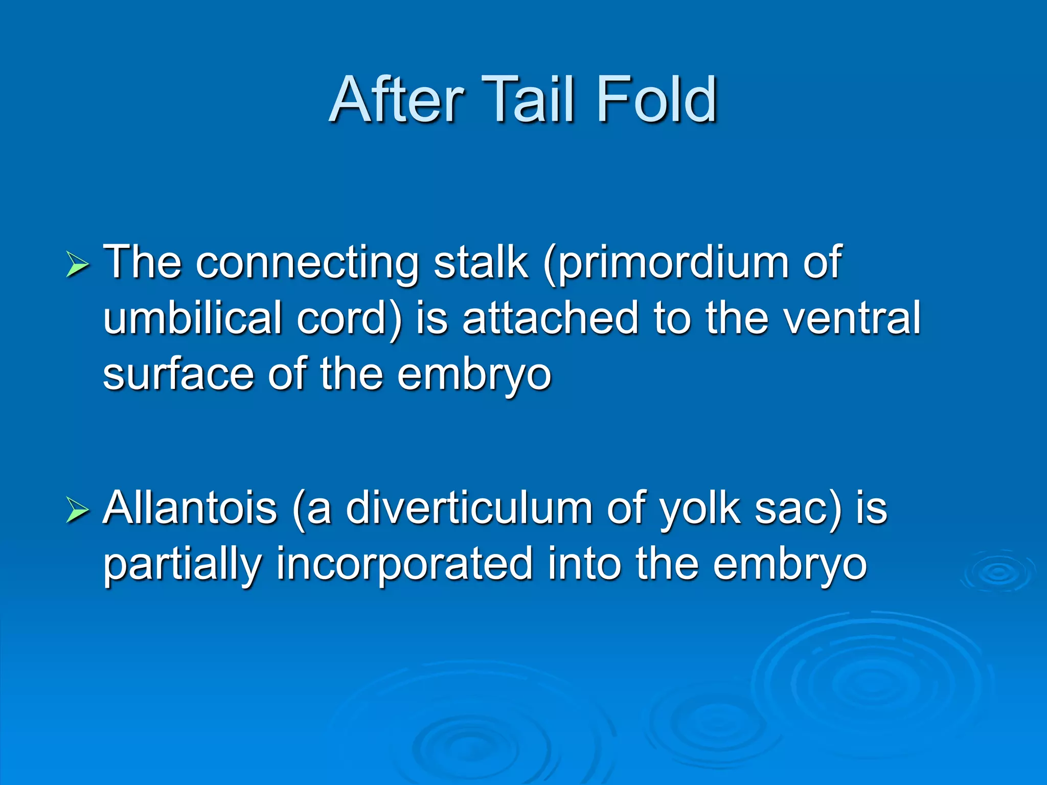 8.Folding of Embryo.ppt