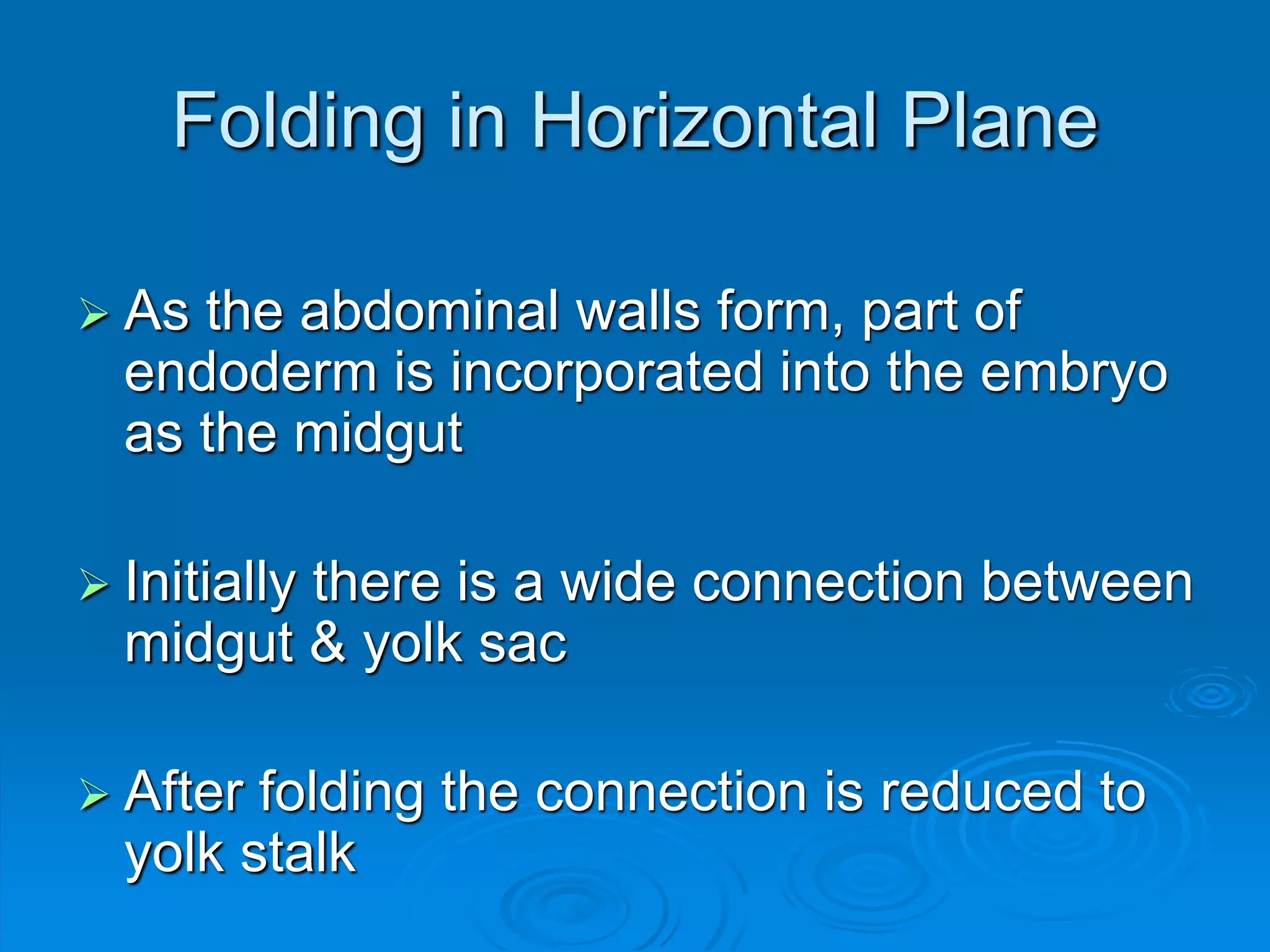 8.Folding of Embryo.ppt