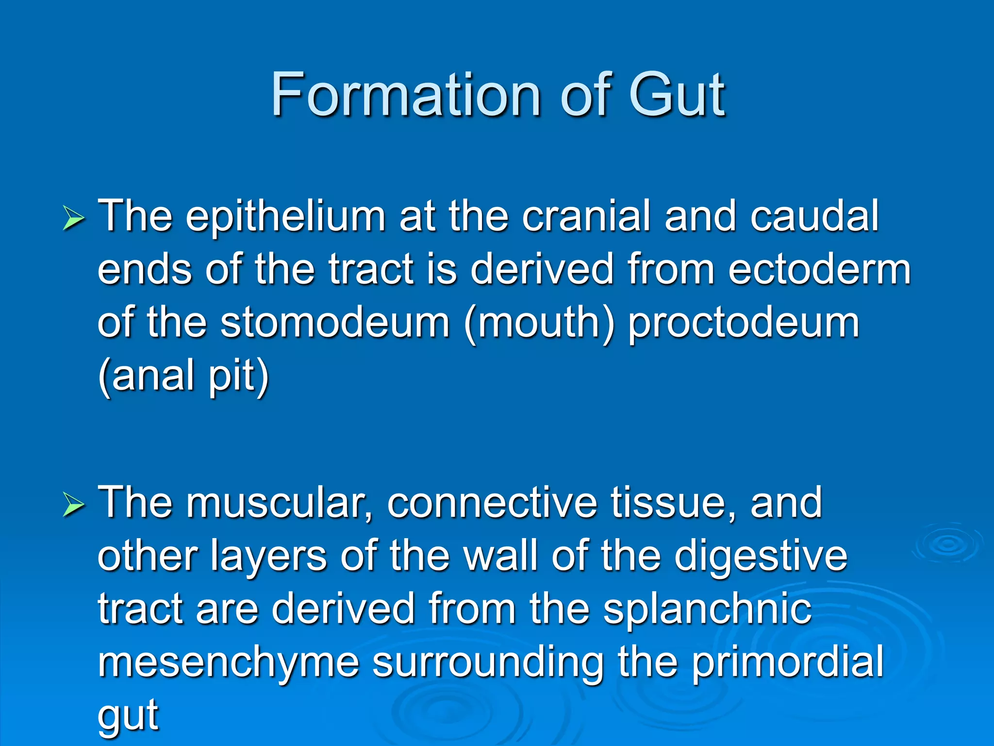 8.Folding of Embryo.ppt