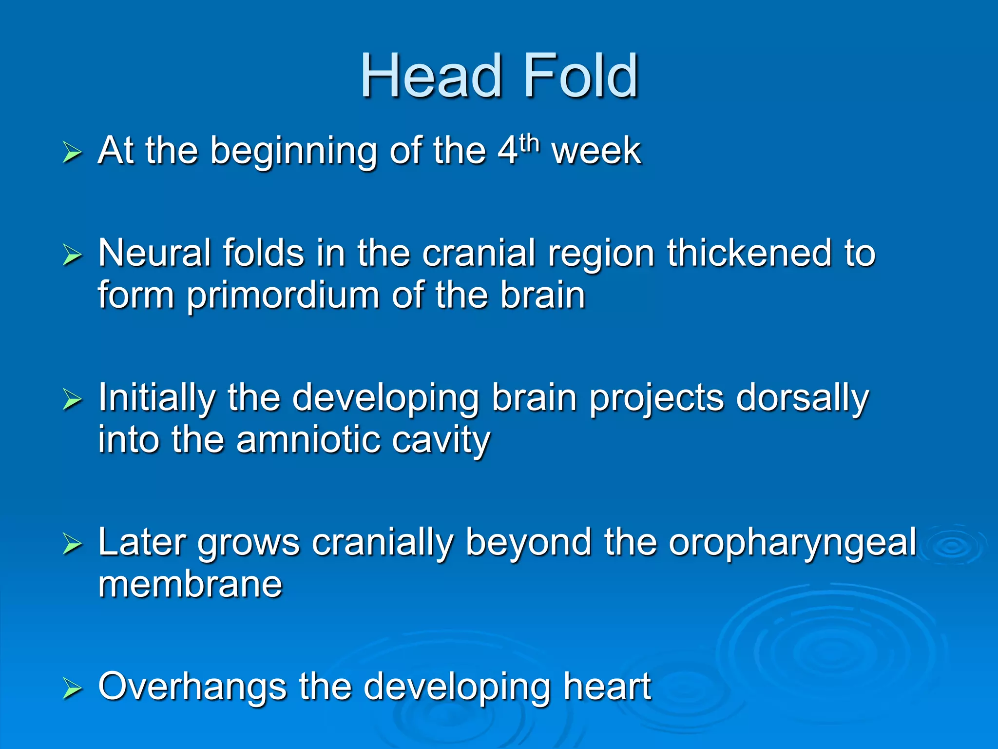 8.Folding of Embryo.ppt