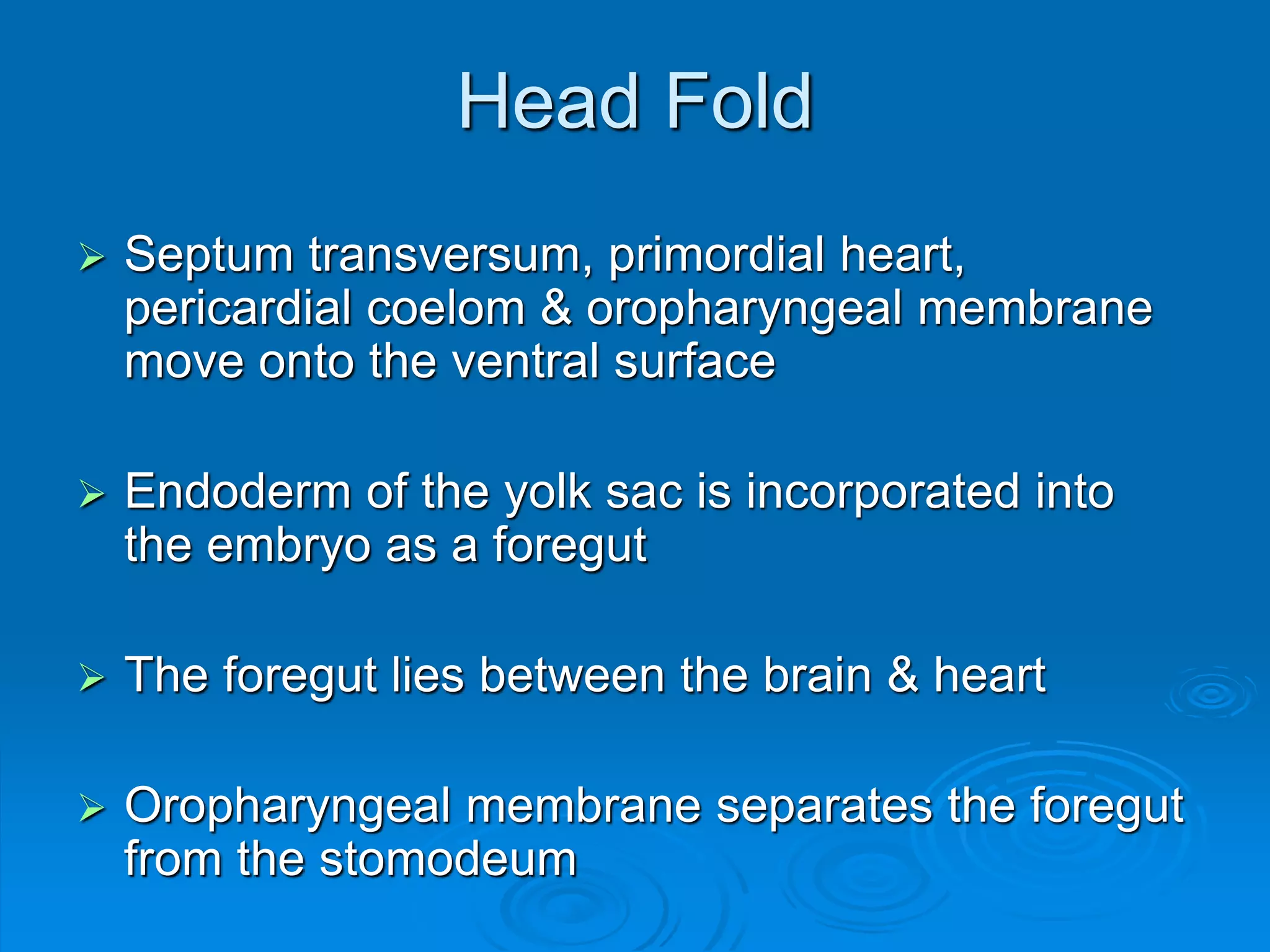8.Folding of Embryo.ppt