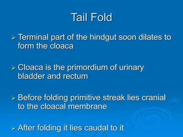8.Folding of Embryo.ppt