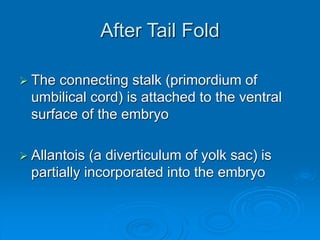 8.Folding of Embryo.ppt