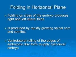 8.Folding of Embryo.ppt