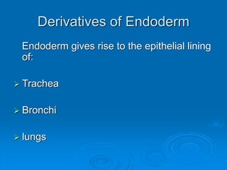 8.Folding of Embryo.ppt