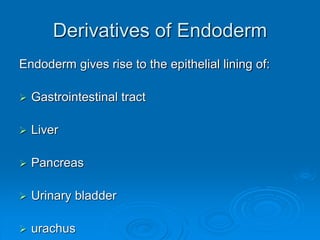 8.Folding of Embryo.ppt
