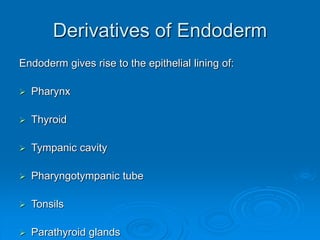 8.Folding of Embryo.ppt