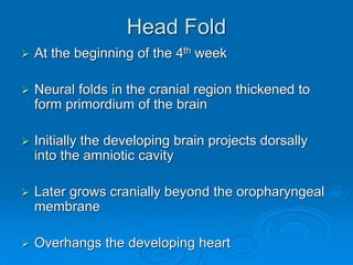 8.Folding of Embryo.ppt