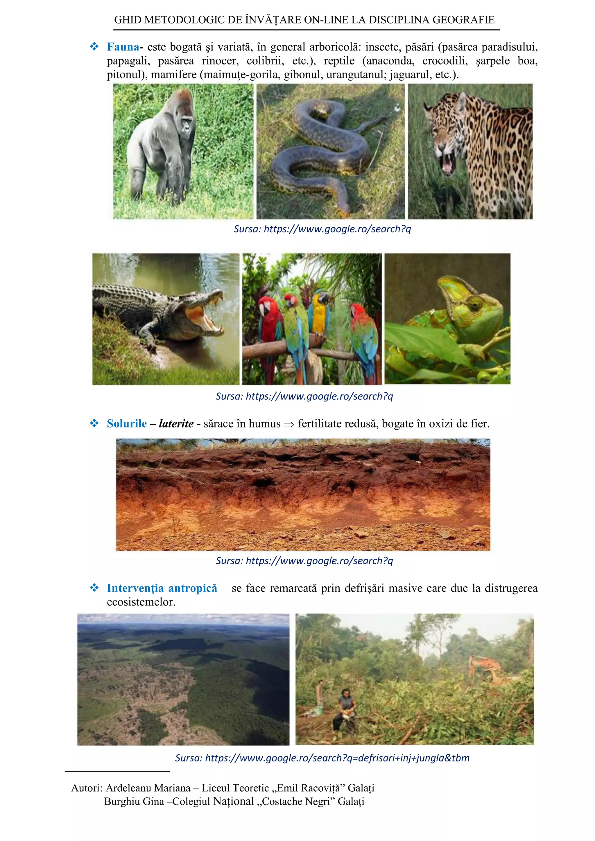 8. Zona calda - material informativ si schema lectiei.pdf