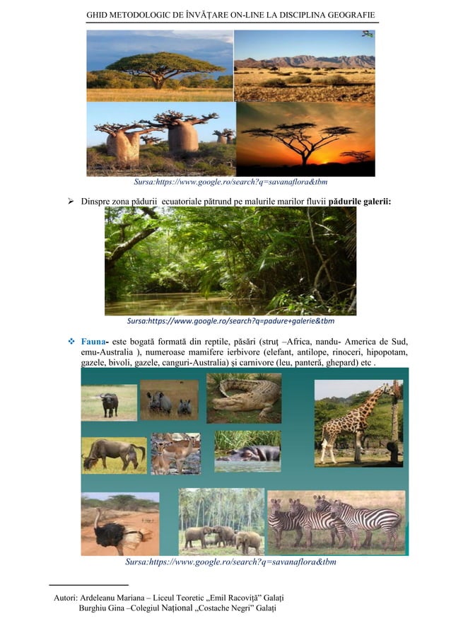 8. Zona calda - material informativ si schema lectiei.pdf