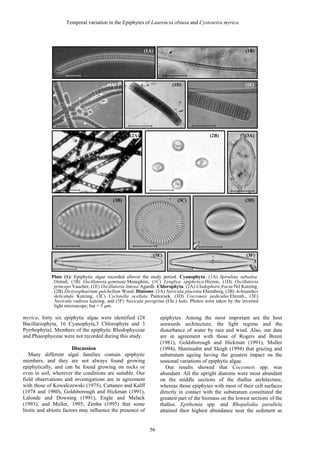 Temporal Variation in the Epiphytes of Laurencia obtusa and Cystoseira ...