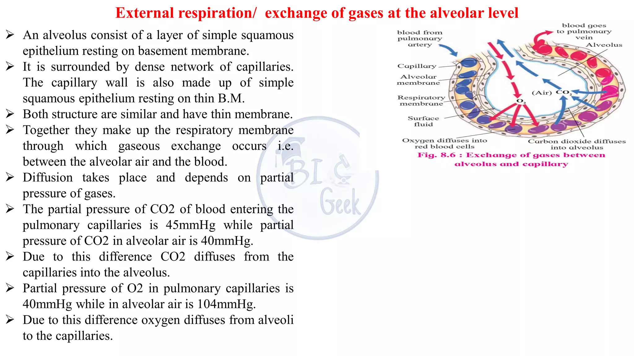 8. Respiration and Circulation.pdf