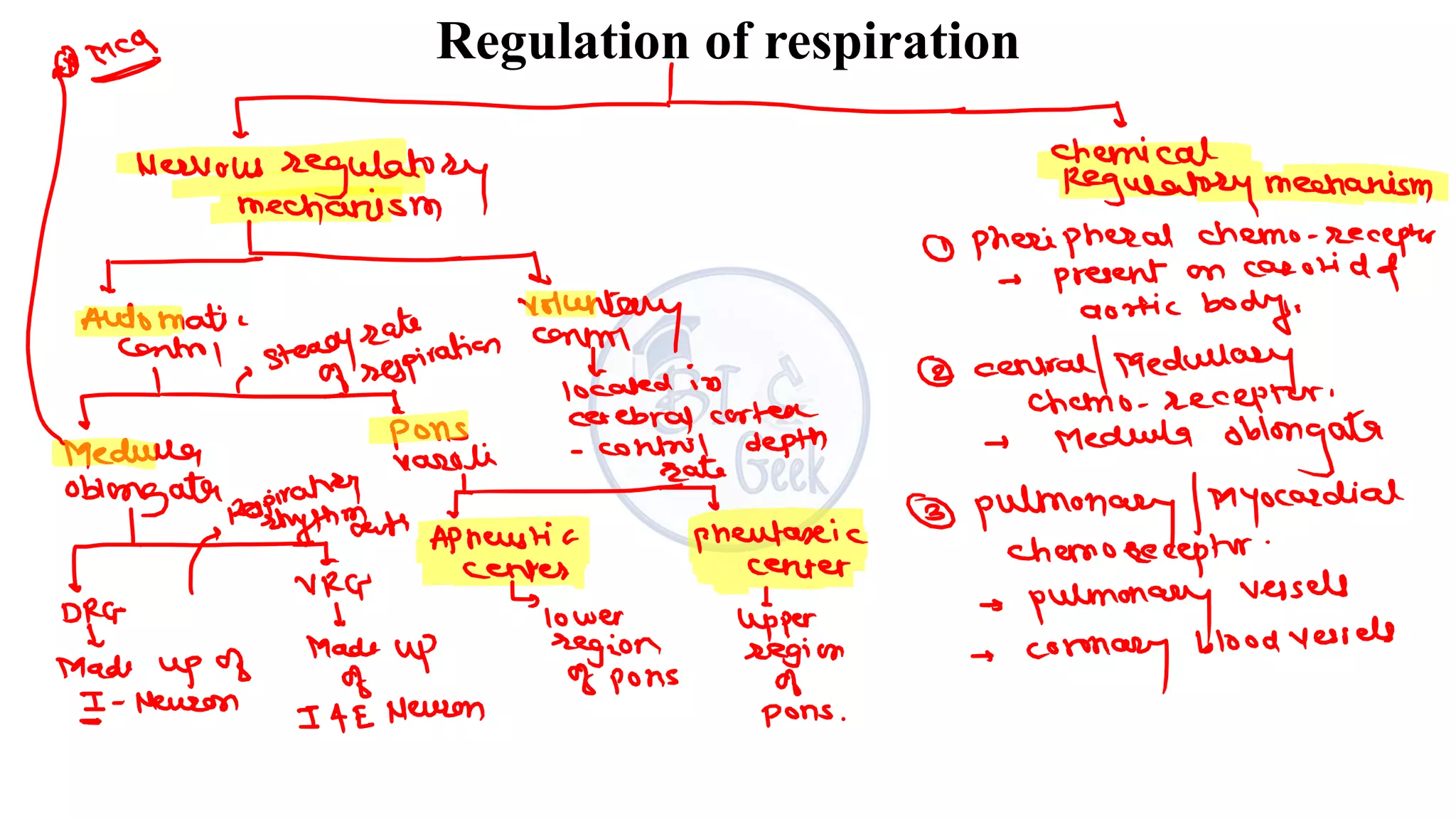 8. Respiration and Circulation.pdf