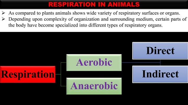 8. Respiration and Circulation.pdf | Lung and Respiratory Health ...