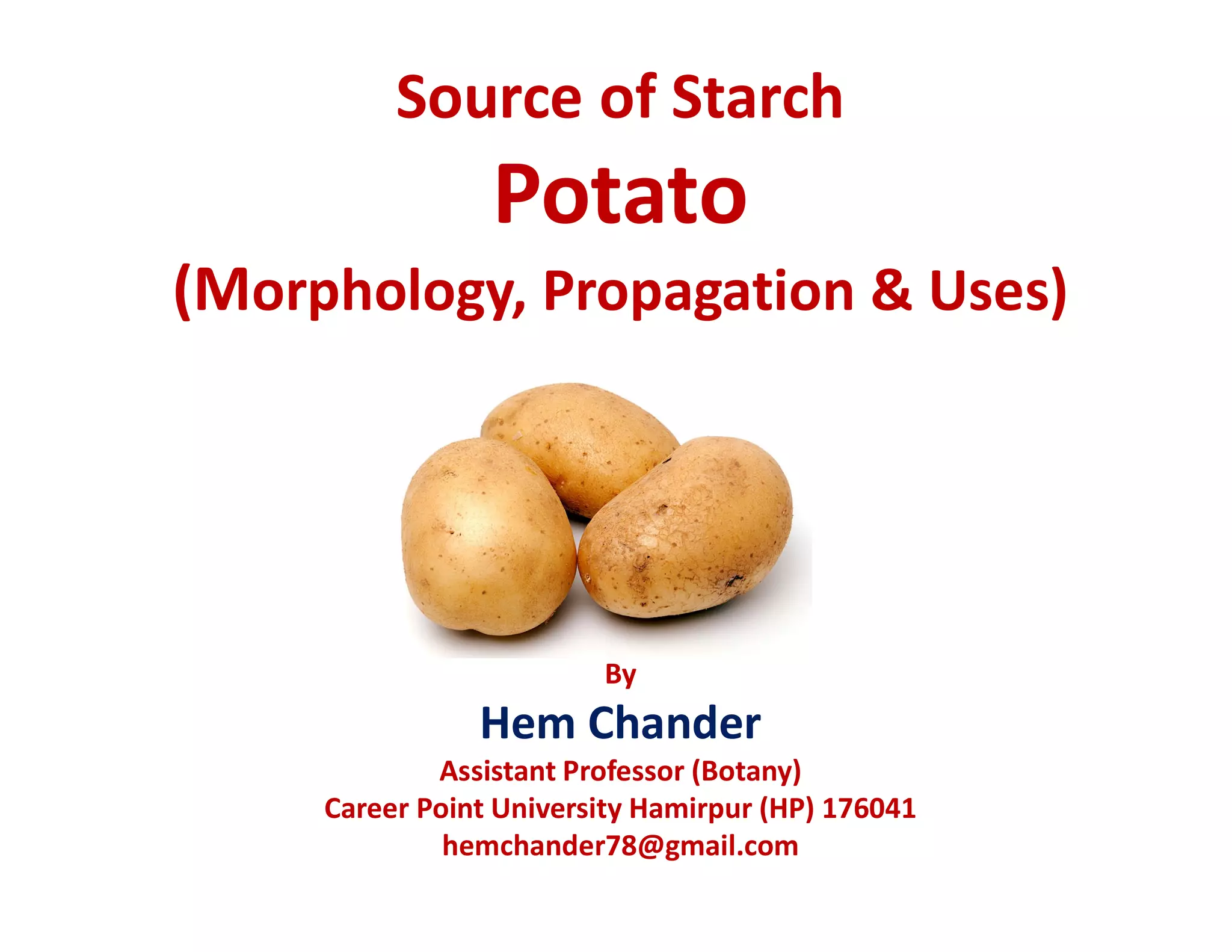 8. Potato.pdf