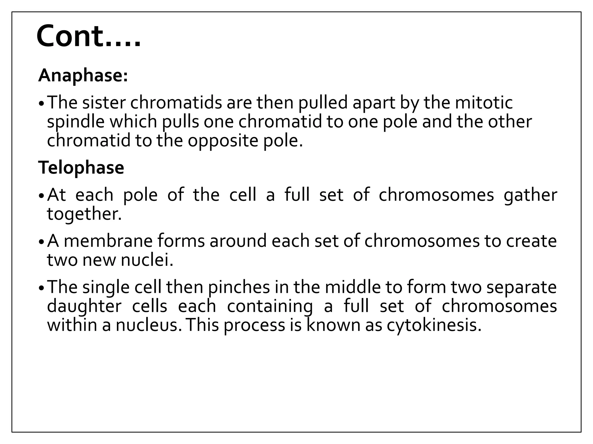 8. cell division.ppt