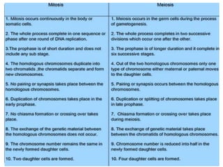 8. cell division.ppt