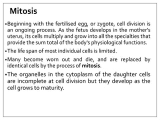 8. cell division.ppt