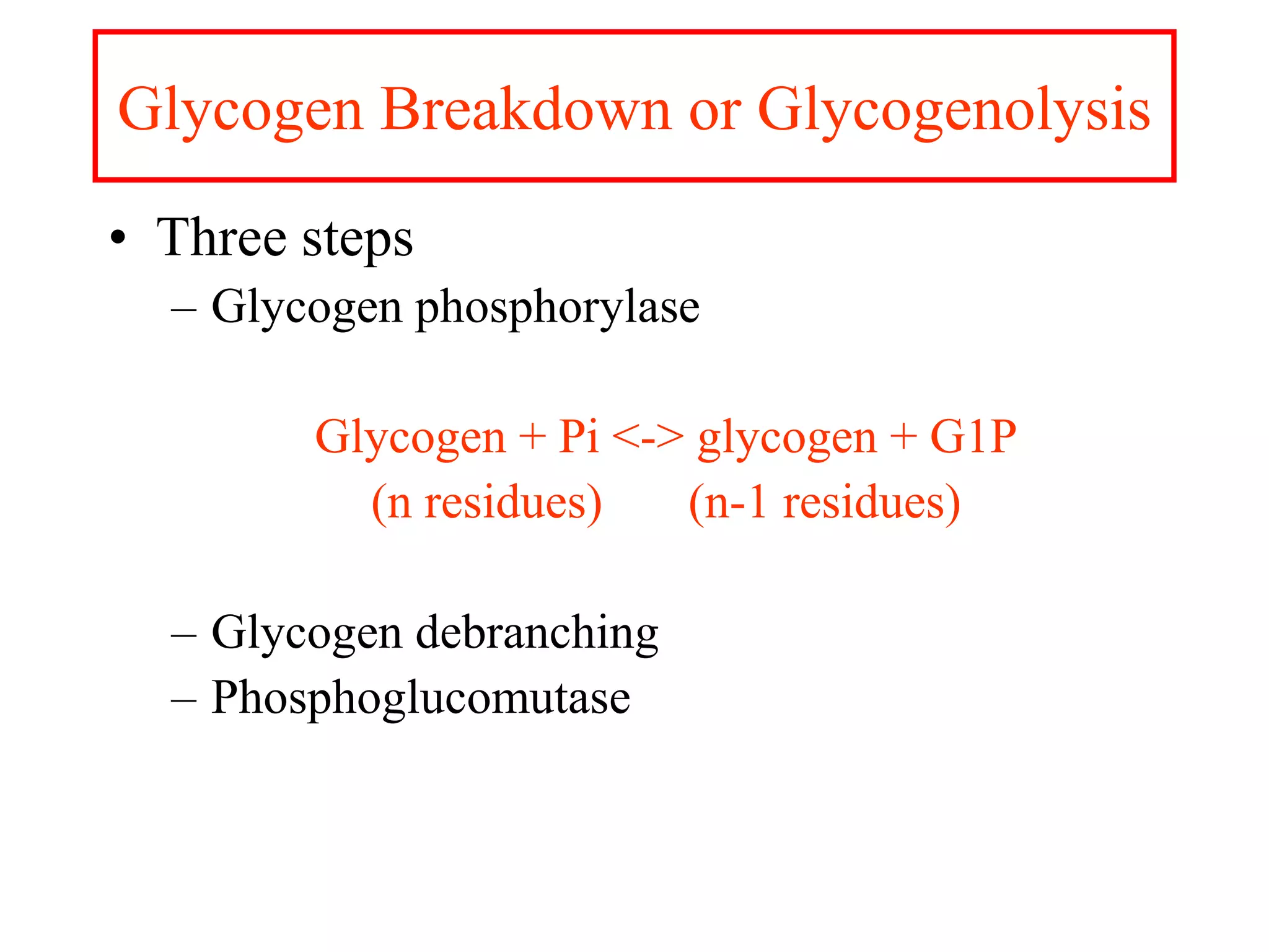 8. Gluconeogenesis, Glycogenosis glycogen synthesis and cori cycle ...