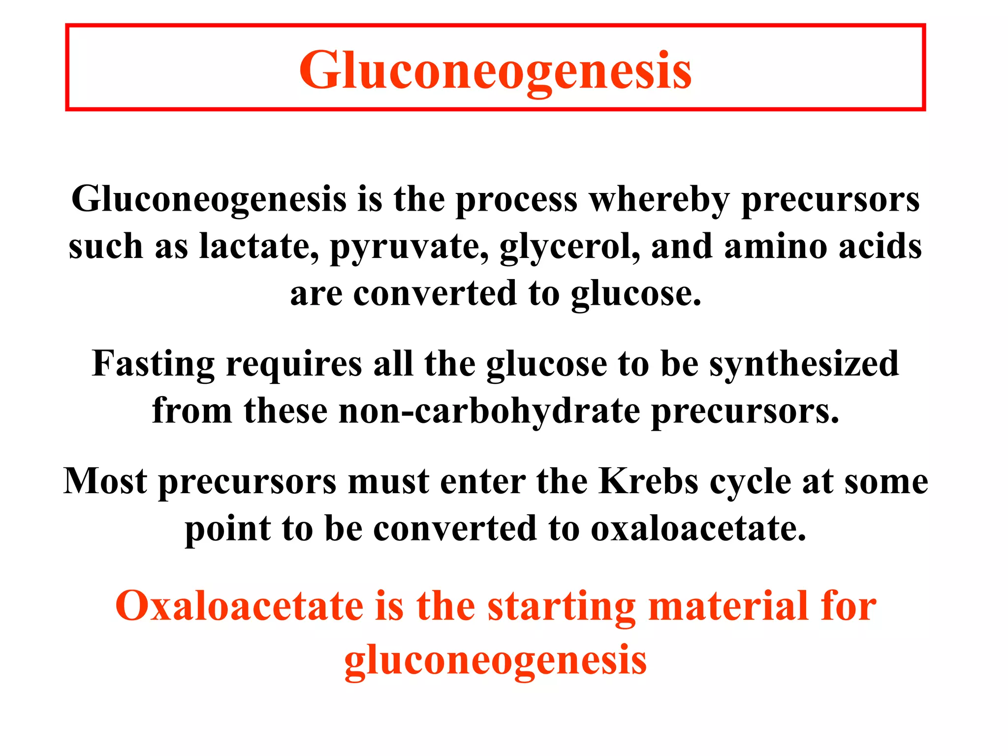 8. Gluconeogenesis, Glycogenosis glycogen synthesis and cori cycle ...