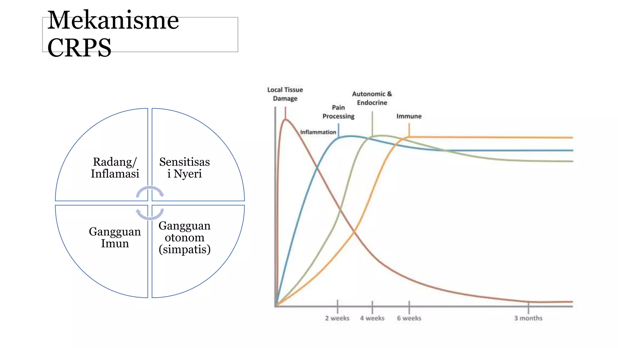 8. Complex regional Pain Syndrome.pptx