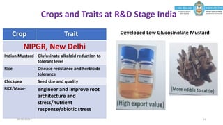 8. Dr Rao.pdf