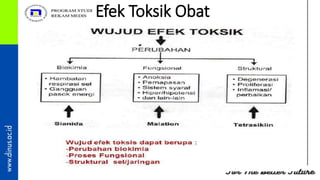 8._Efek_Obat_yg_Ditimbulkan.pptx