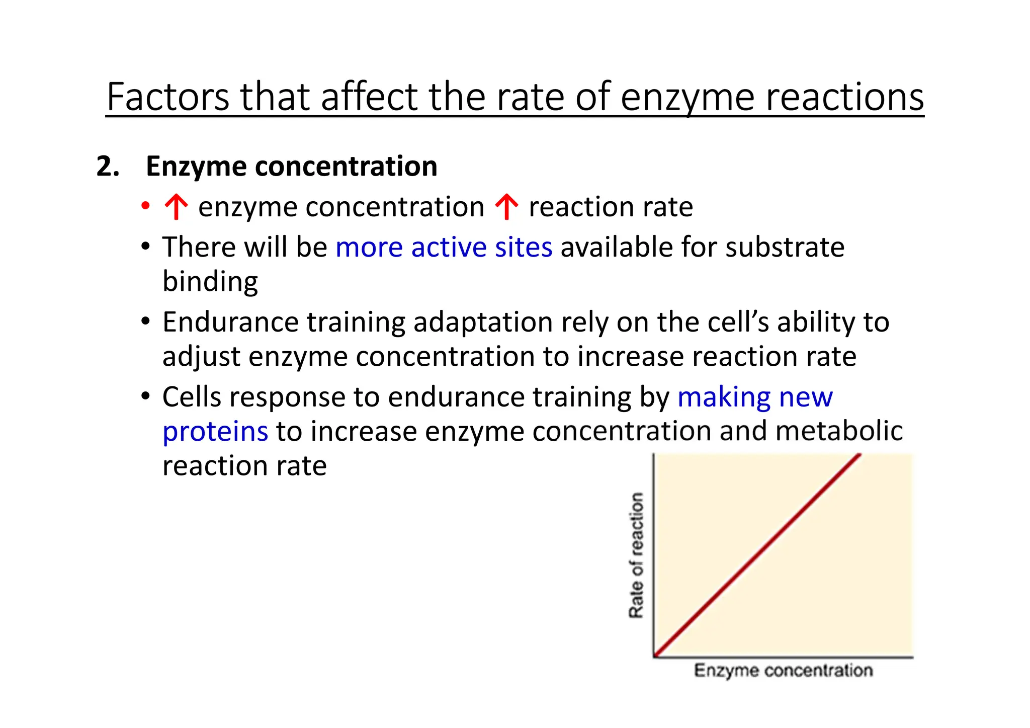 8. Enzymes.pdf