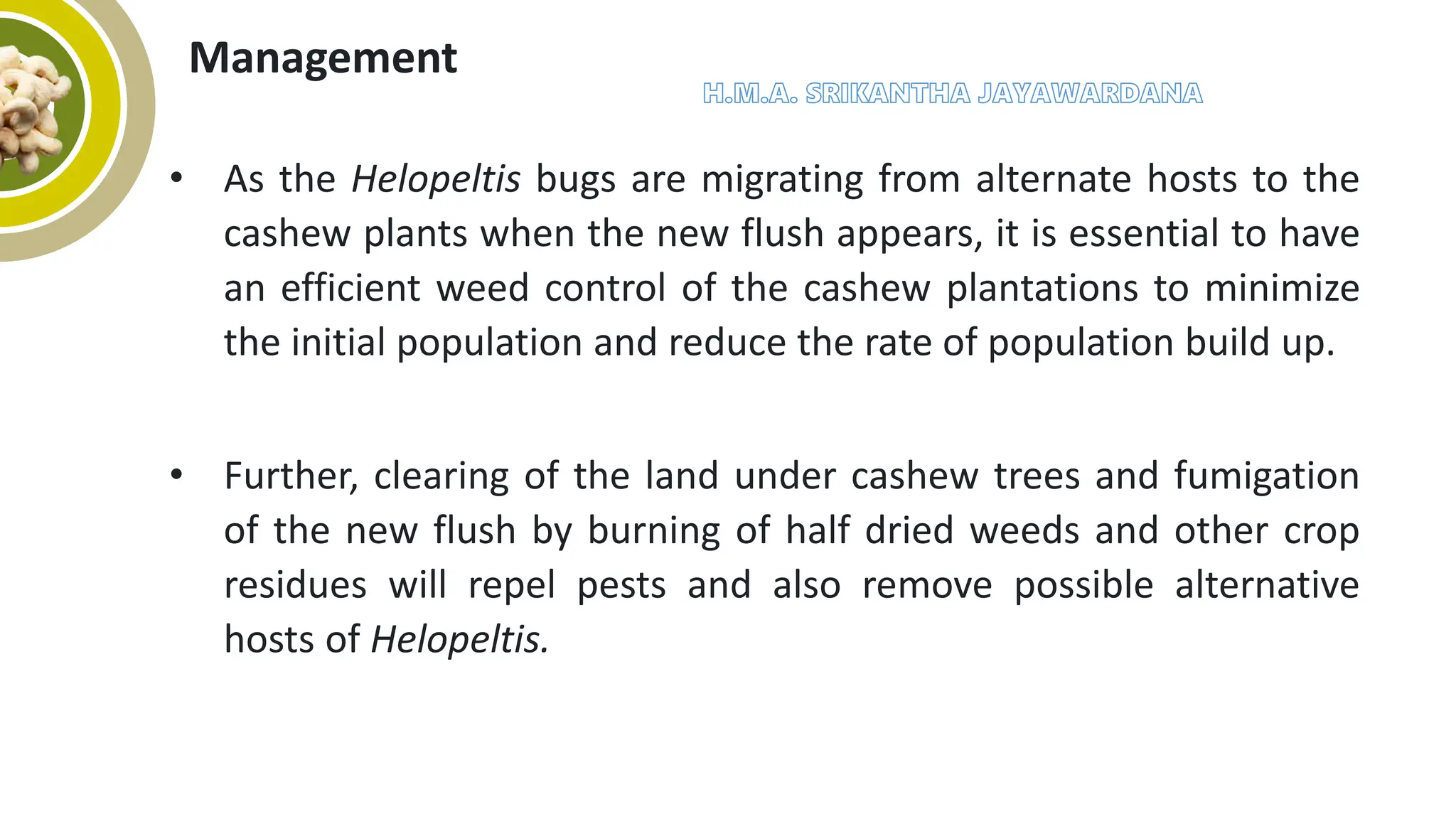 Pest and Disease Management of Cashew | PPTX