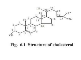 Cholesterol.pptx