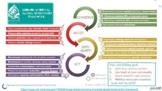 8. KM-GBF indicators from an ecologist’s point of view - Joachim Topper ...