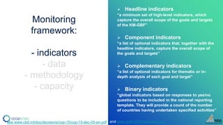 8. KM-GBF indicators from an ecologist’s point of view - Joachim Topper ...