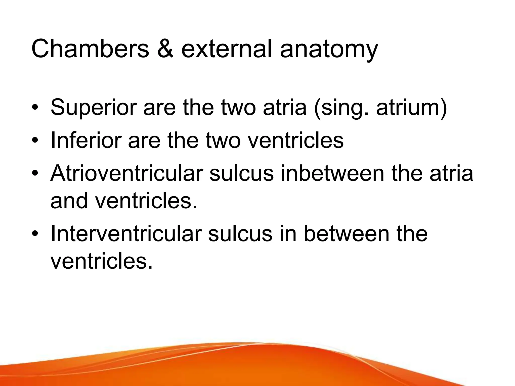 8.cardiovascular system. arteries,vein,capillaries, | PPT