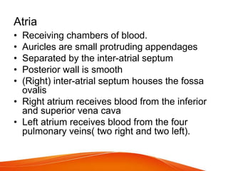 8.cardiovascular system. arteries,vein,capillaries, | PPT