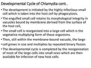 8. Chlamydia Presentation.pptx