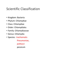 8. Chlamydia Presentation.pptx
