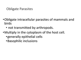 8. Chlamydia Presentation.pptx