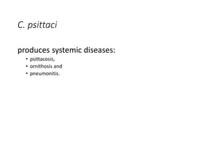 8. Chlamydia Presentation.pptx