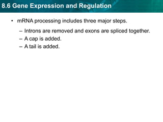 Gene Expression and Regulation (1).ppt