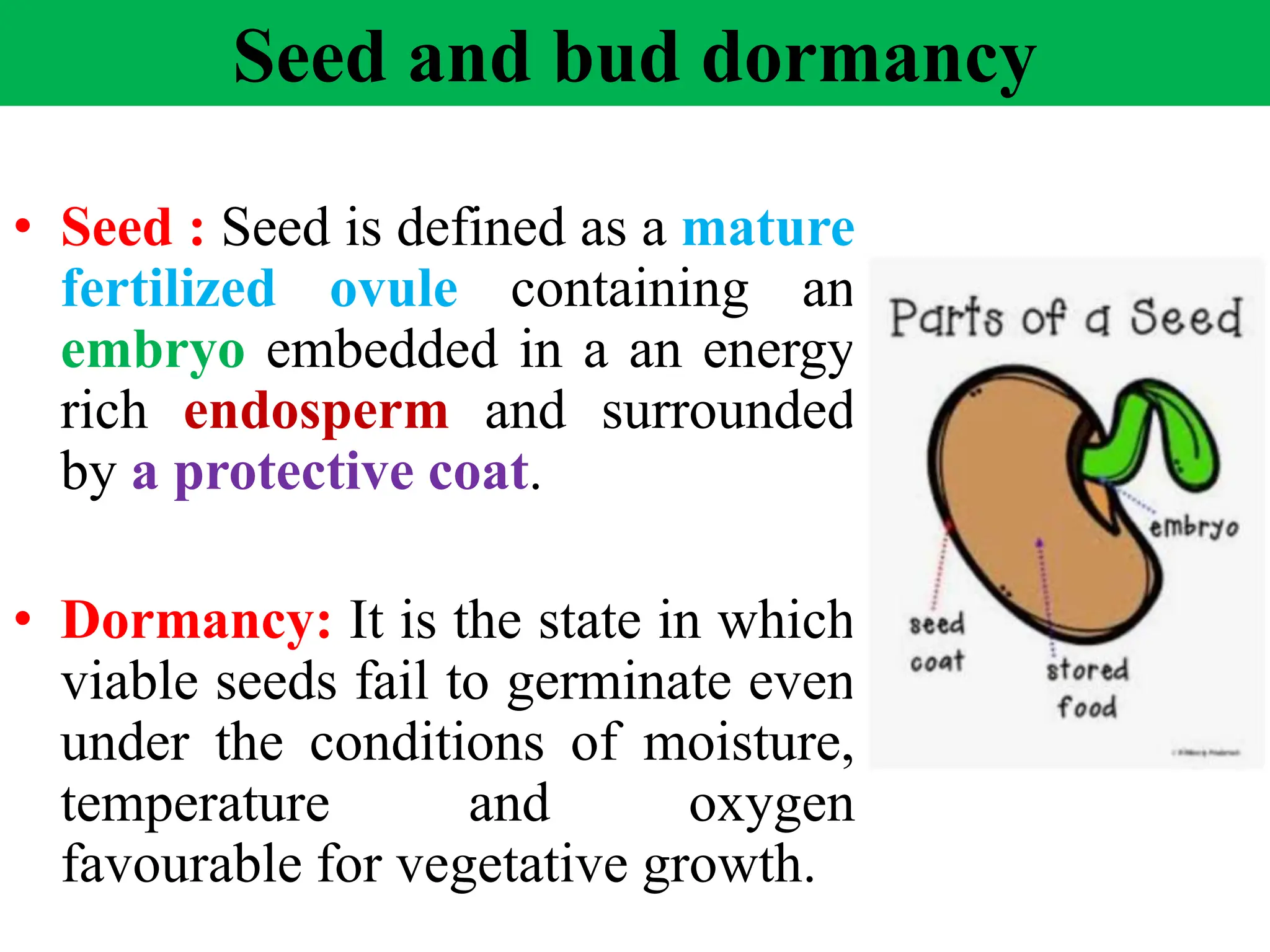 8. Plant growth and development and dormancy.pptx