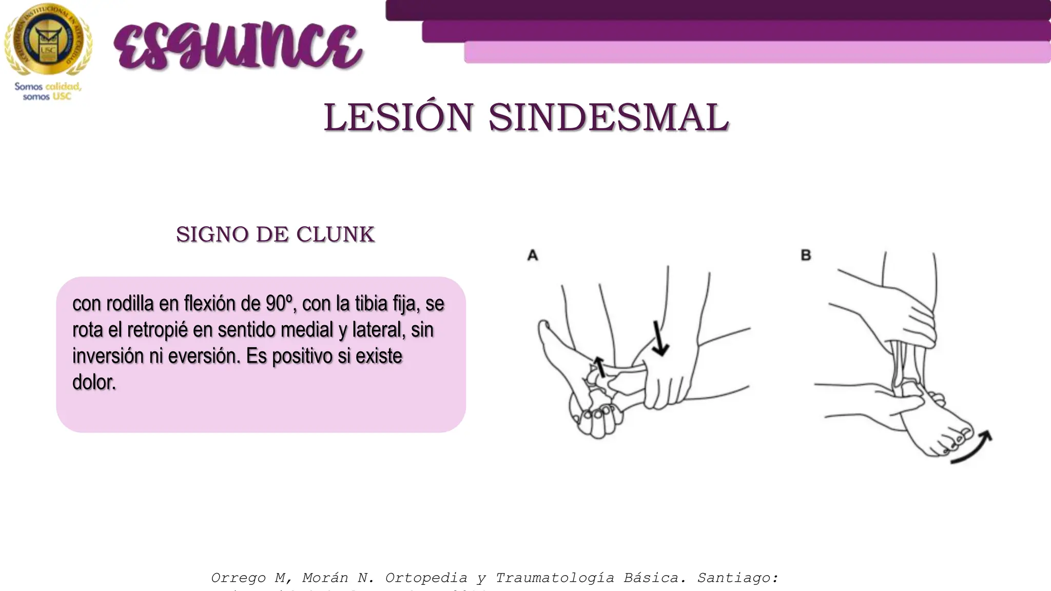 Anatomia de Rodilla - univeridad santiago de cali | PPTX
